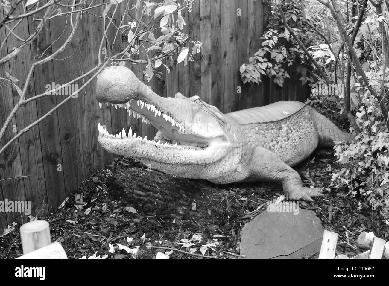 Fearsome predators a world first at Chester Zoo Stock Photo - Alamy