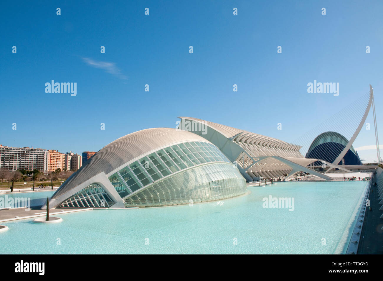 Santiago calatrava valencia arquitectura hi-res stock photography and ...