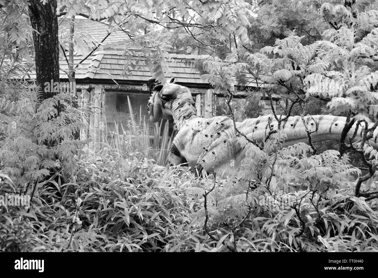 Fearsome predators a world first at Chester Zoo Stock Photo - Alamy