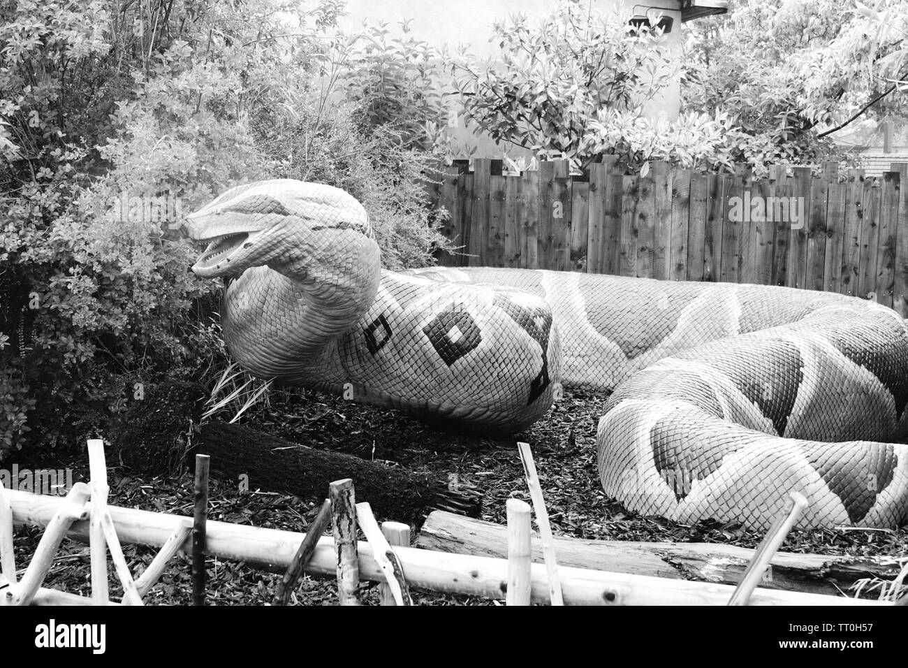 Fearsome predators a world first at Chester Zoo Stock Photo - Alamy