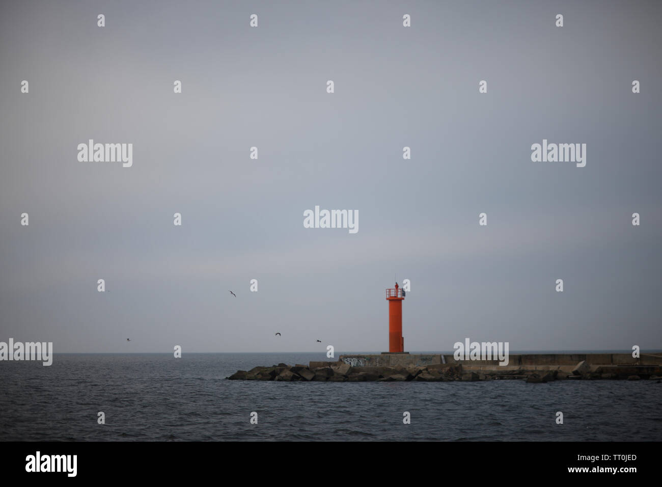 The lighthouse at the jetty in the alignment of the sea gates at the ...