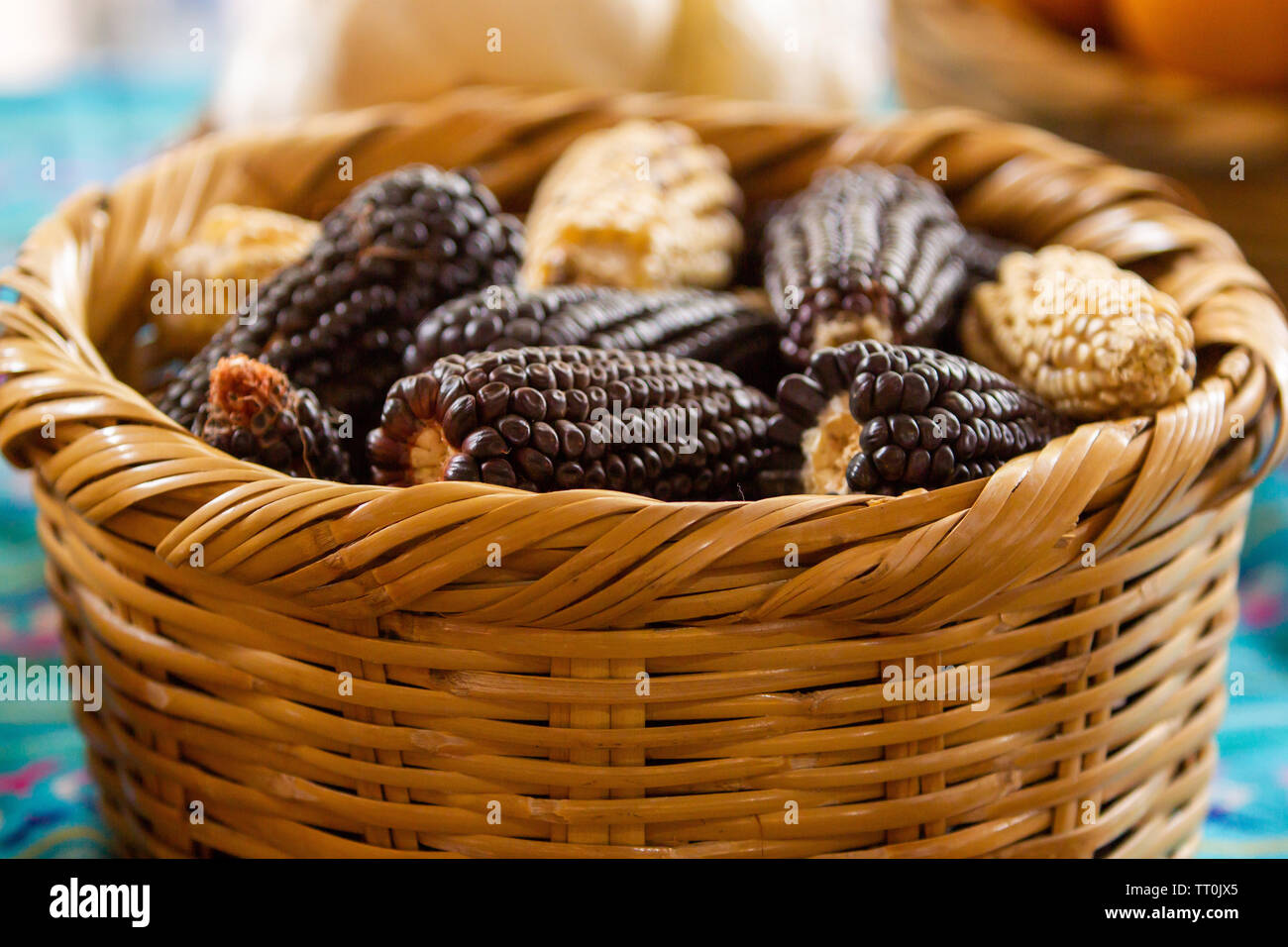 Types of corn hi-res stock photography and images - Alamy