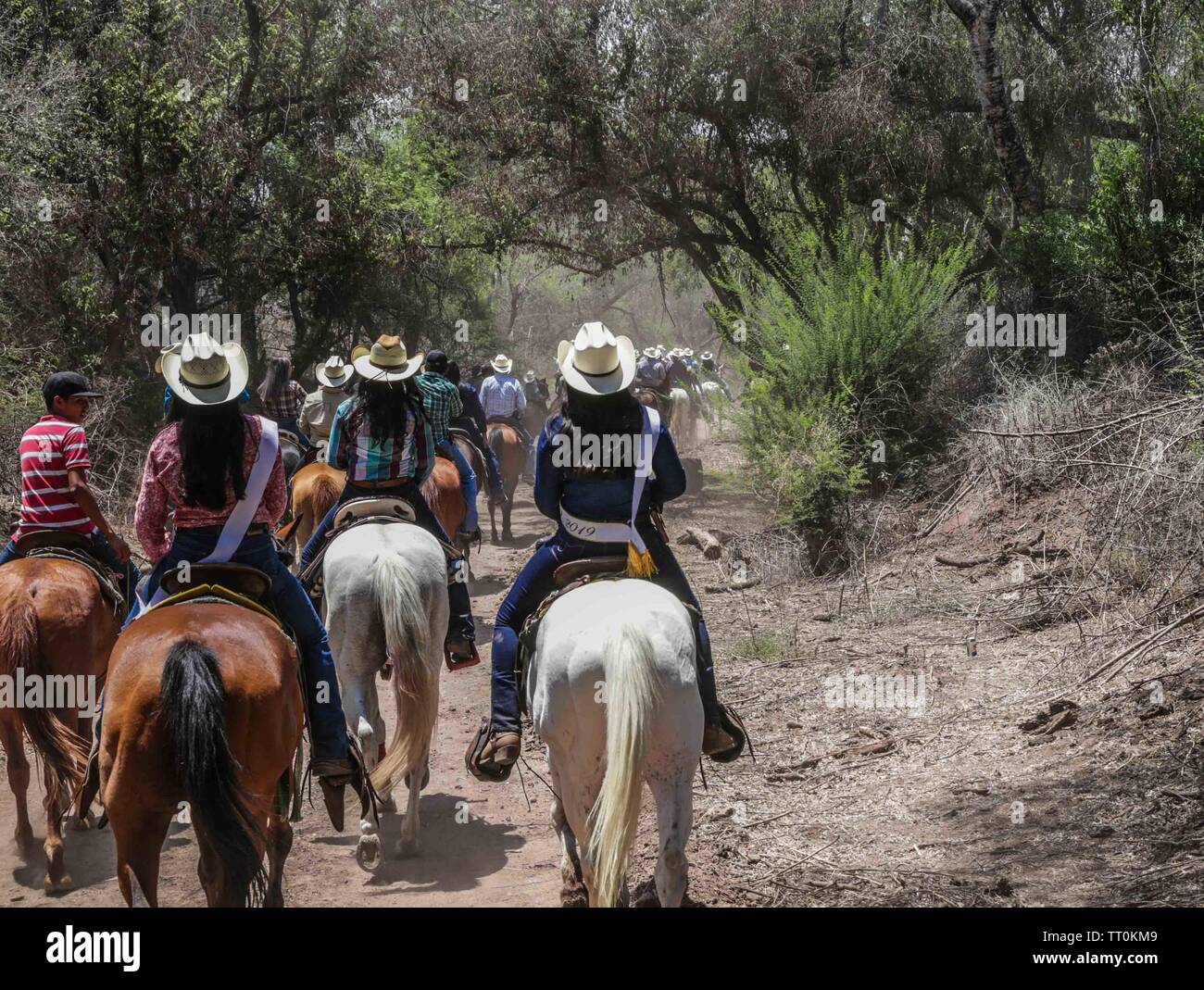 Cabalgata por Quiriego. (Foto: Marisol Soto/NortePhoto) IV Festival ...