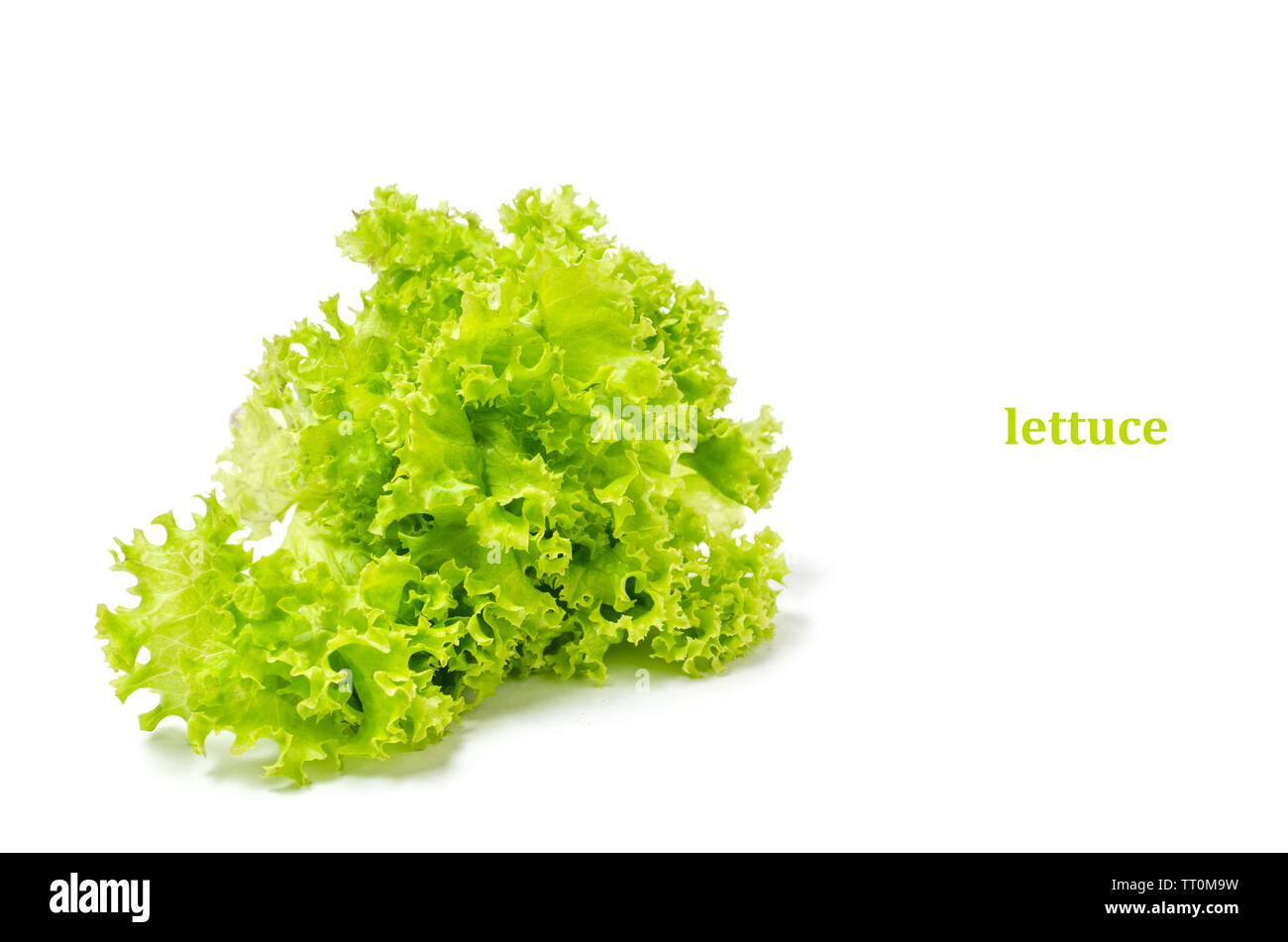 Bundle of Vegetable salad on white background.Fresh and healthy ...