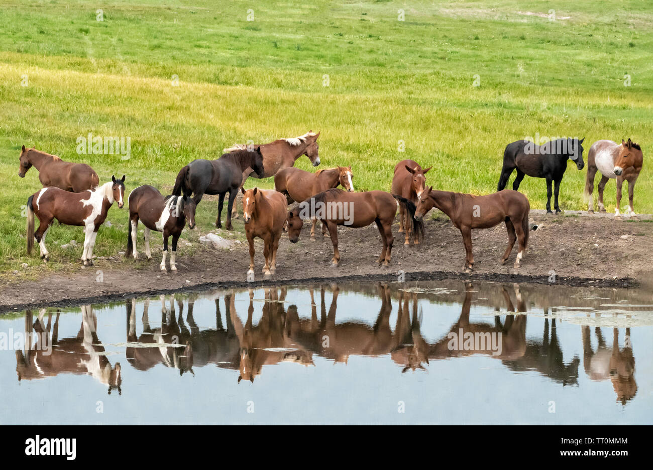 Ranching High Resolution Stock Photography and Images - Alamy