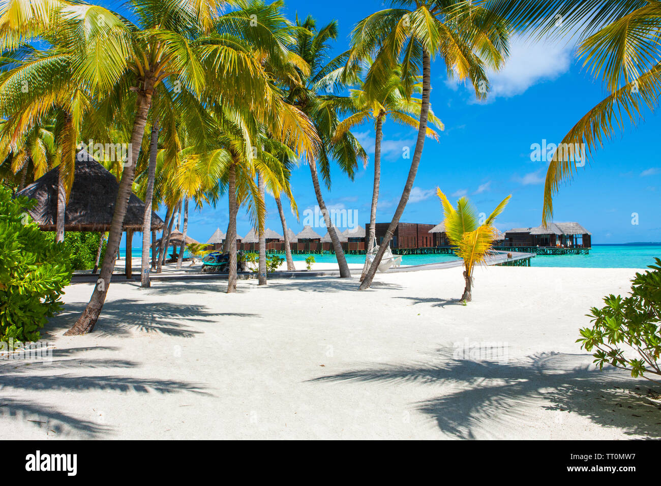 The beautiful landscape of the deserted Indian Ocean sandy beach ...