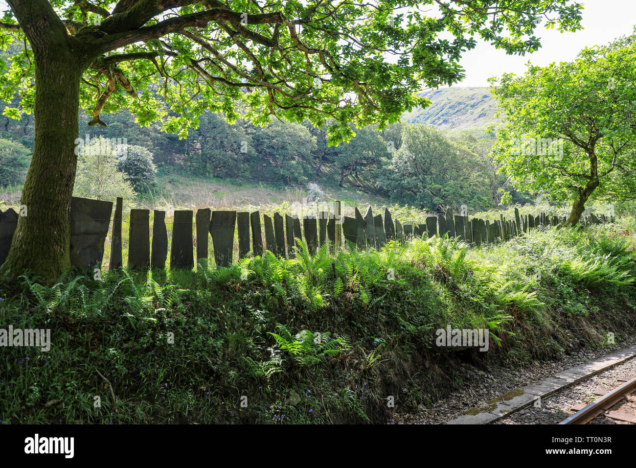 Talyllyn railway dolgoch hi-res stock photography and images - Alamy