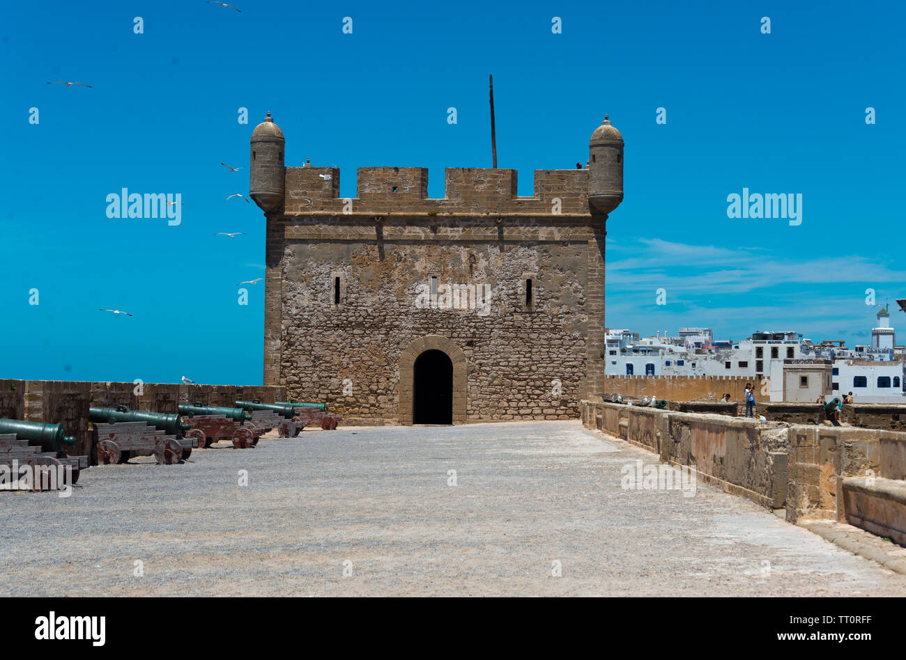 ancient fortification in essaouira, morocco Stock Photo - Alamy