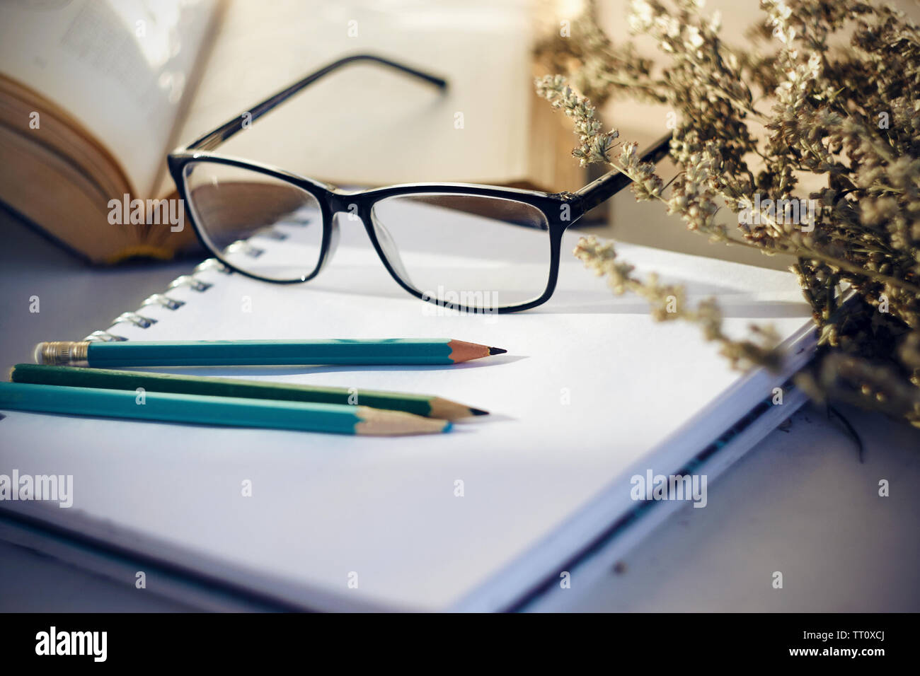 Spring romantic still life with an open book, a notebook on a spring ...