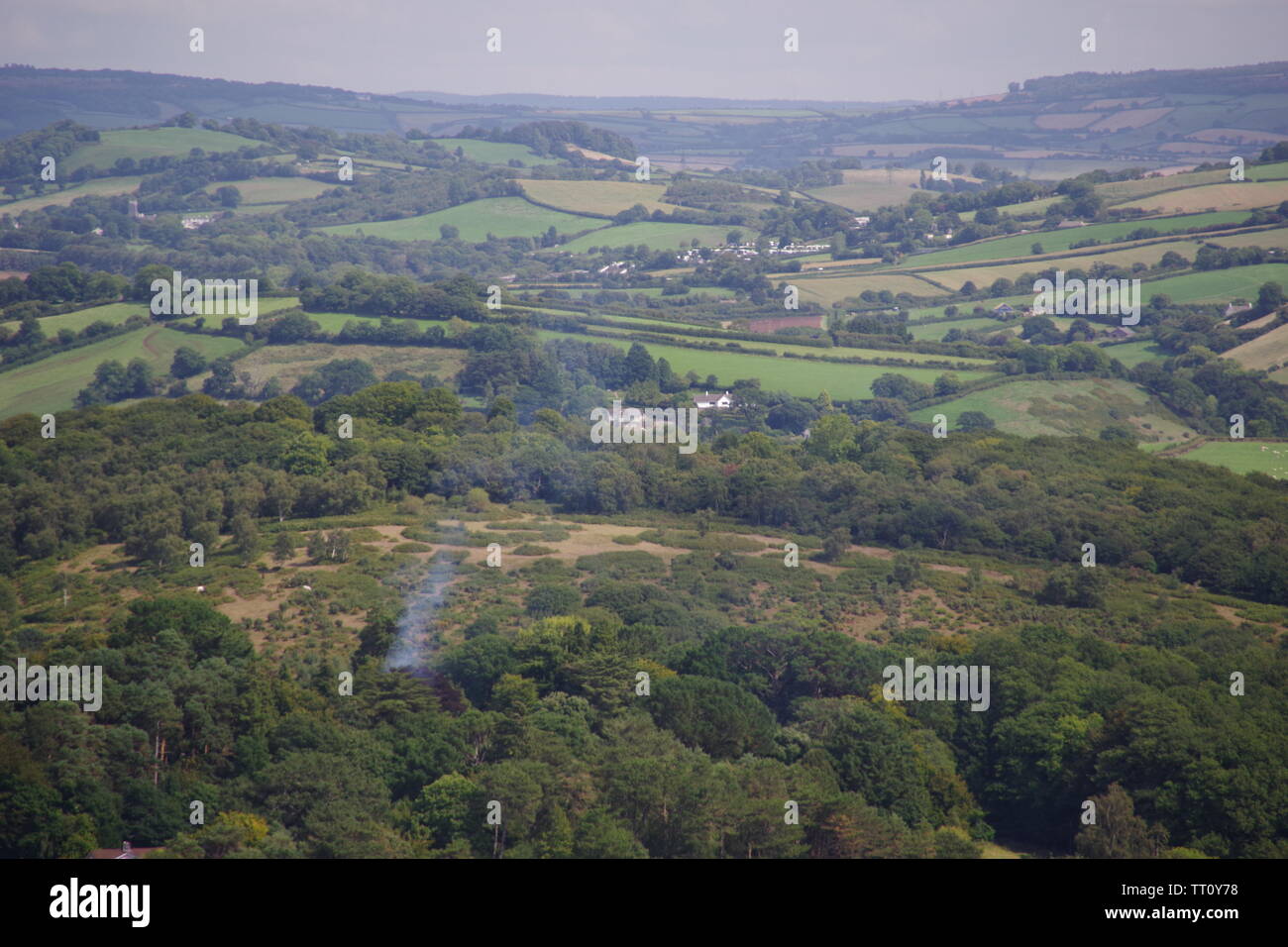 Hilly landscape with fields and oak hi-res stock photography and images ...