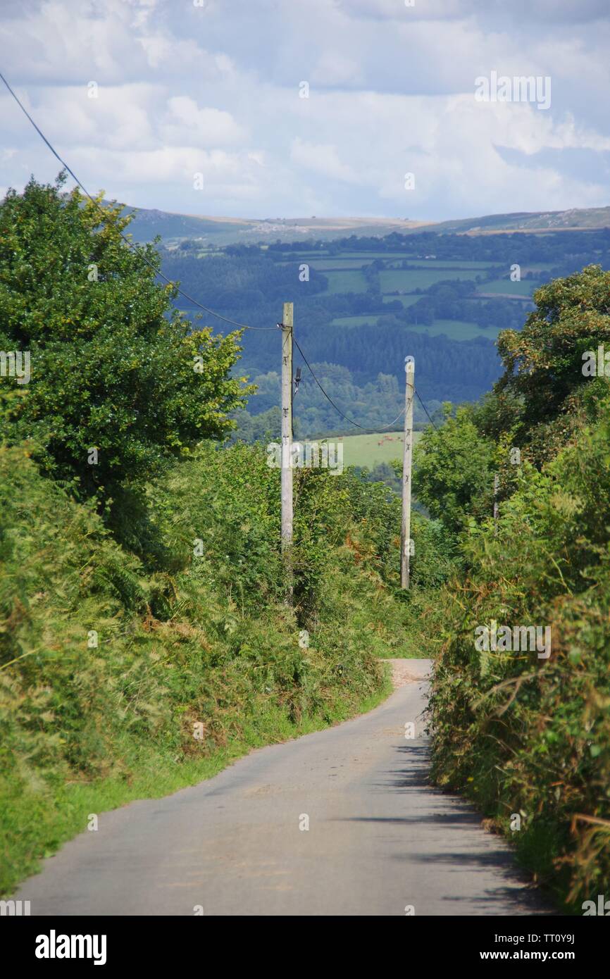 Hedgerows in rolling devon fields hi-res stock photography and images ...