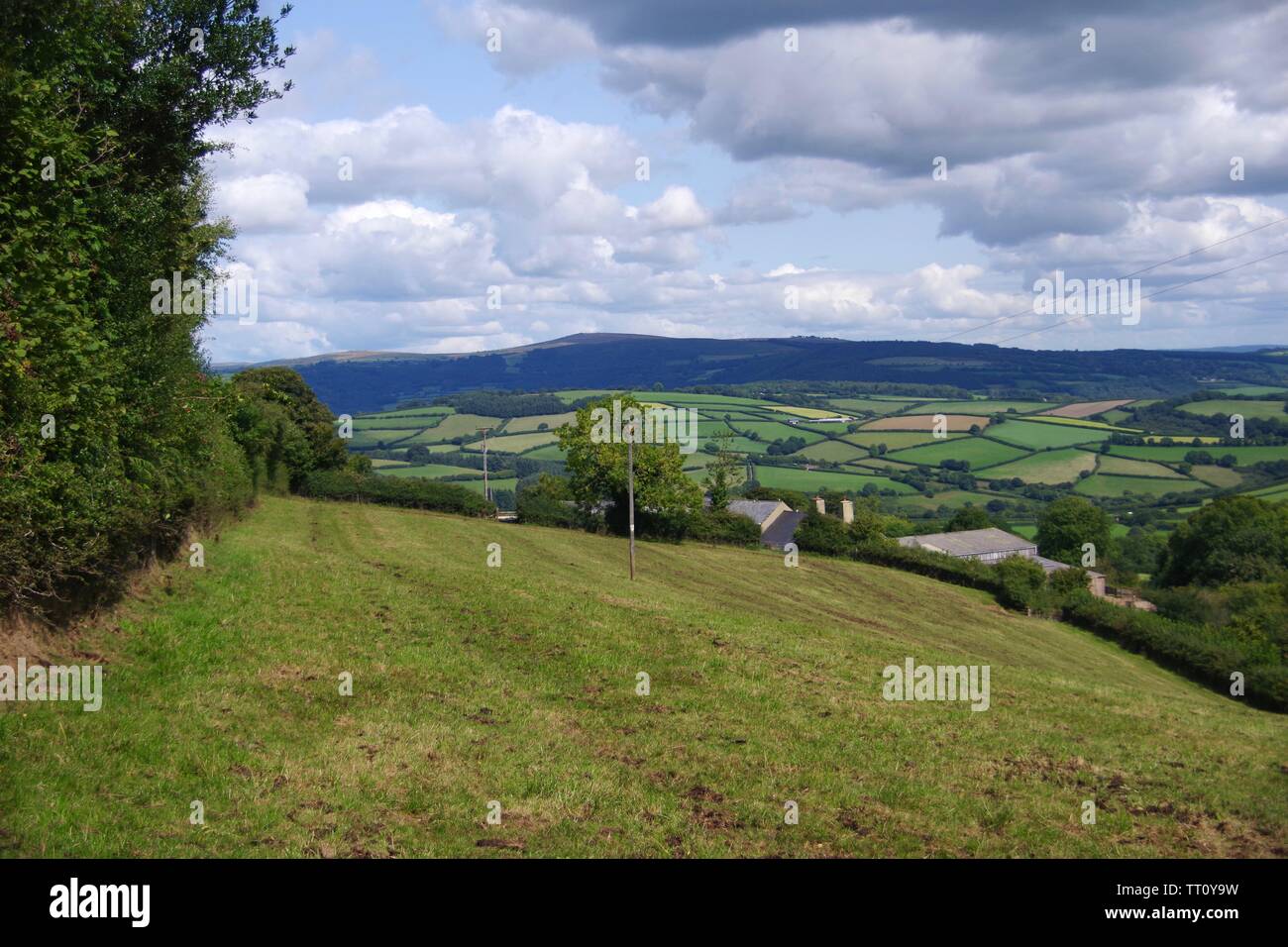 Pastoral Patchwork Landscape of Fields, Hedgerows and Woods in High ...