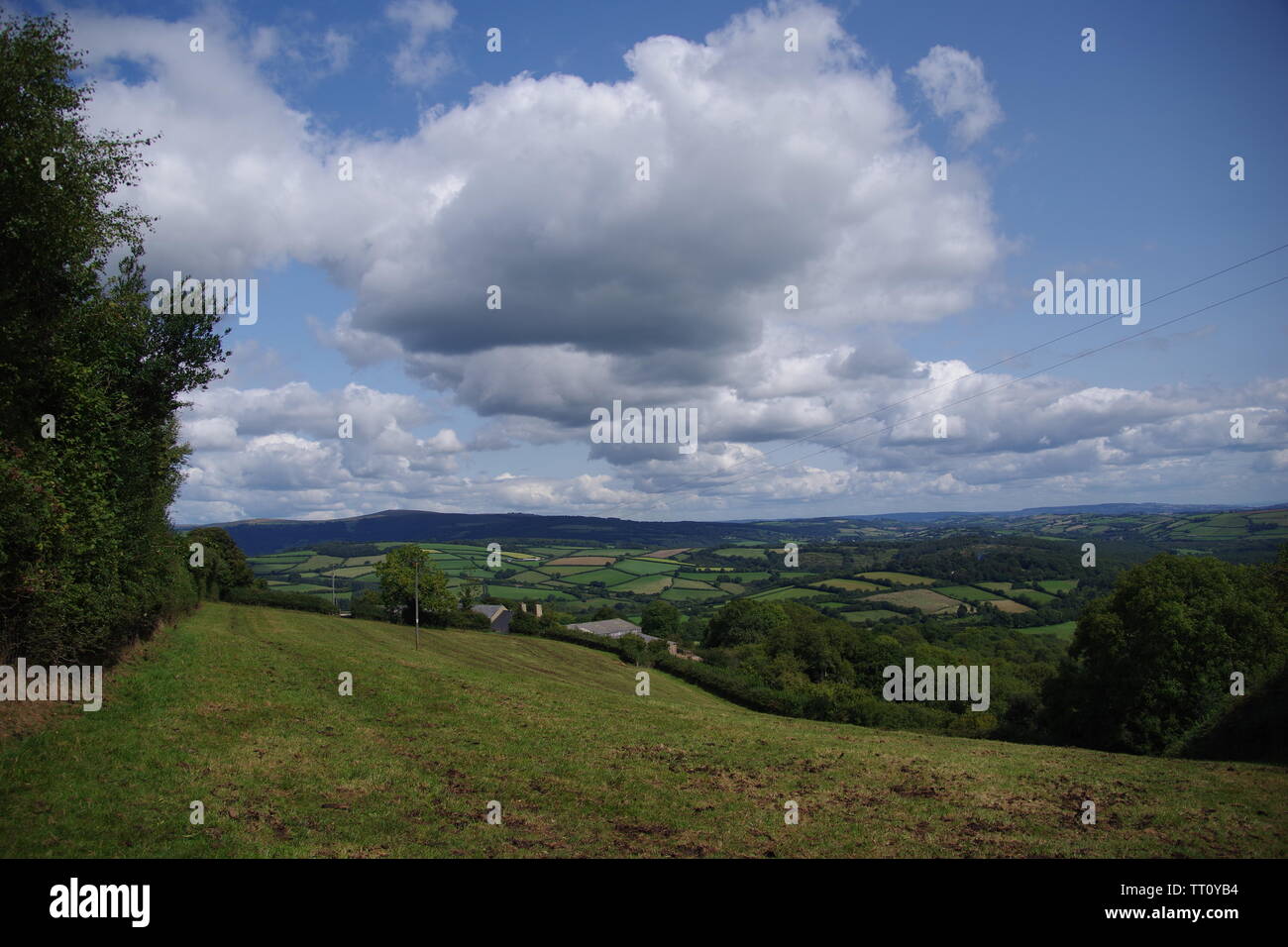 Pastoral Patchwork Landscape of Fields, Hedgerows and Woods in High ...