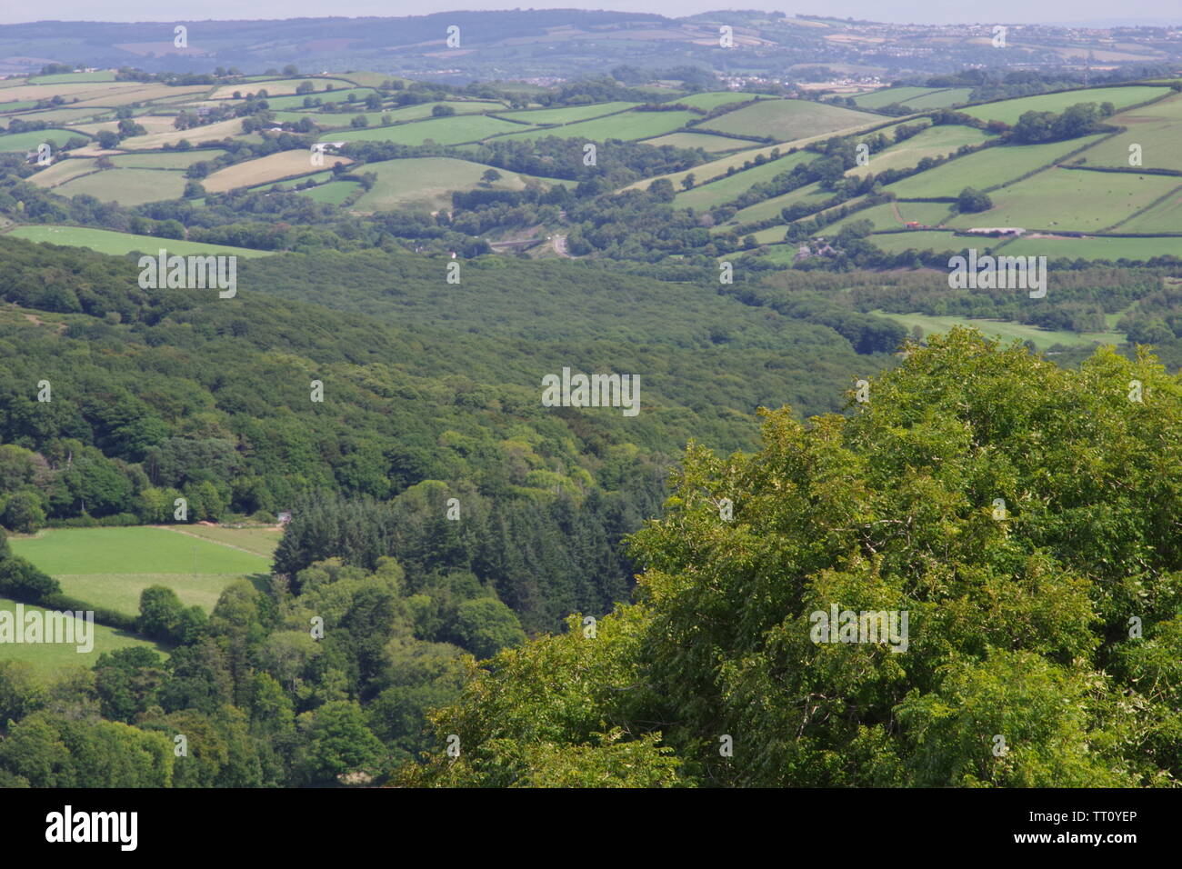 Pastoral Patchwork Landscape of Fields, Hedgerows and Woods in High ...