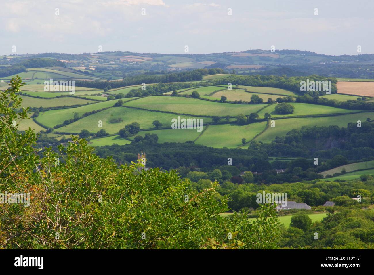 Pastoral Patchwork Landscape of Fields, Hedgerows and Woods in High ...