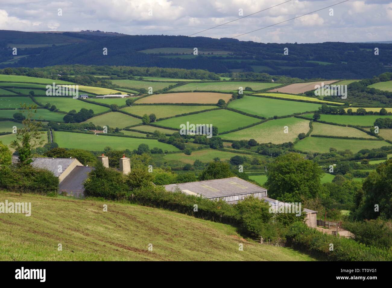 Pastoral Patchwork Landscape of Fields, Hedgerows and Woods in High ...
