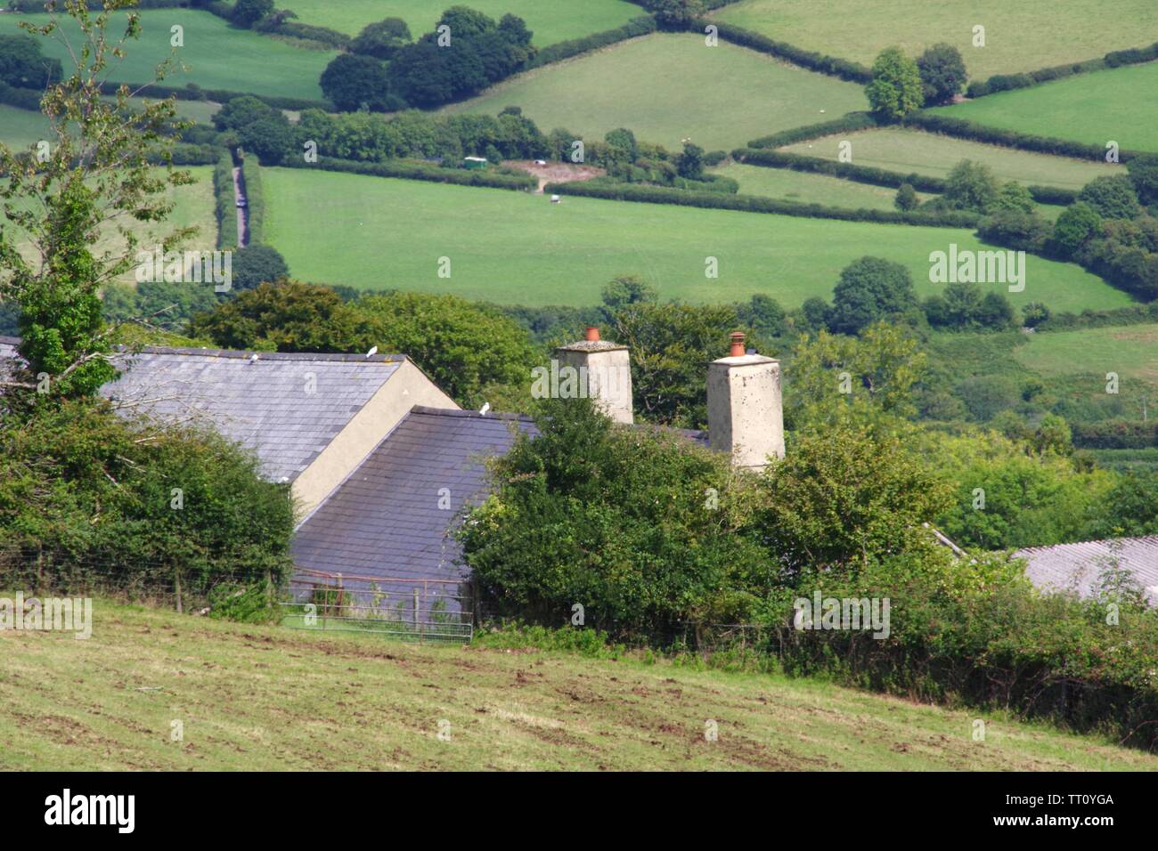 Pastoral Patchwork Landscape of Fields, Hedgerows and Woods in High ...