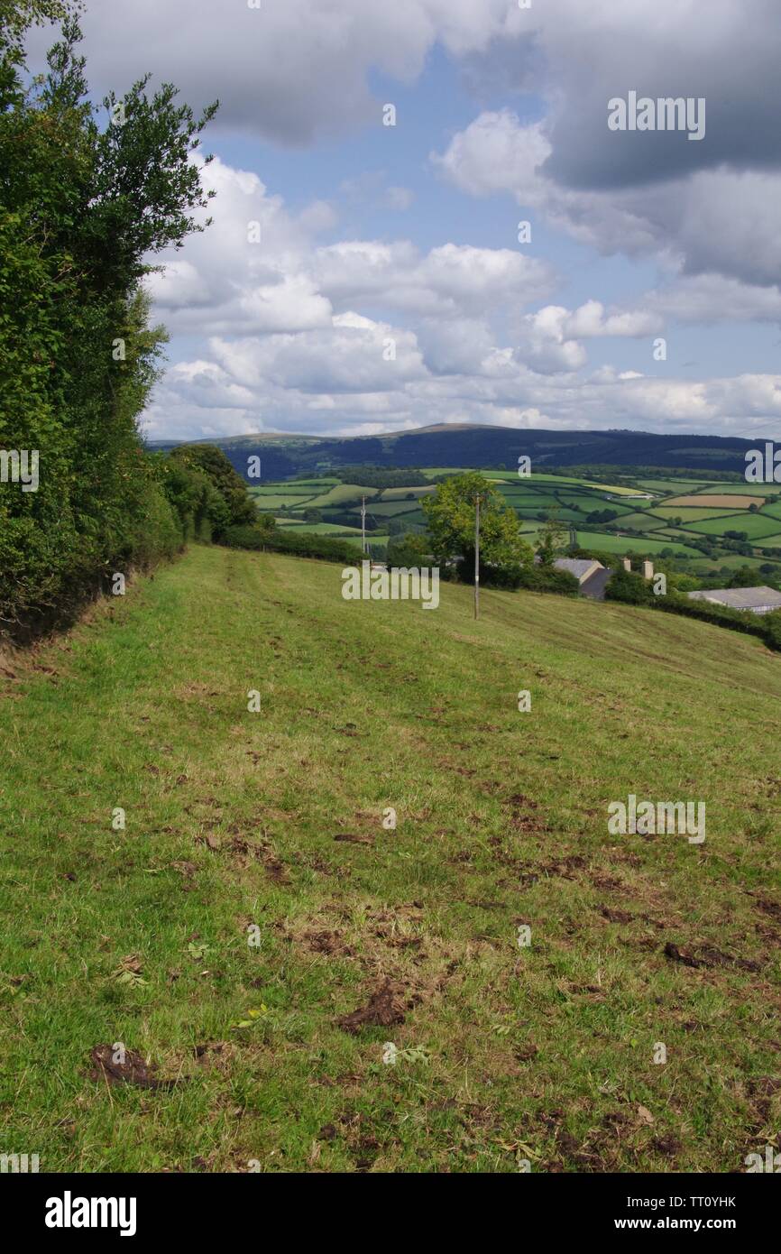 Pastoral Patchwork Landscape of Fields, Hedgerows and Woods in High ...