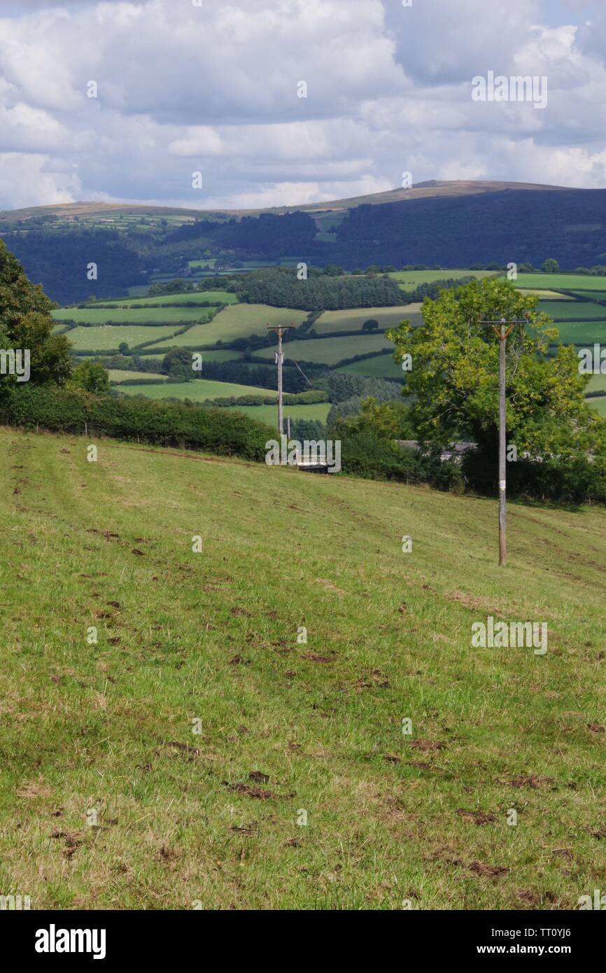 Pastoral Patchwork Landscape of Fields, Hedgerows and Woods in High ...