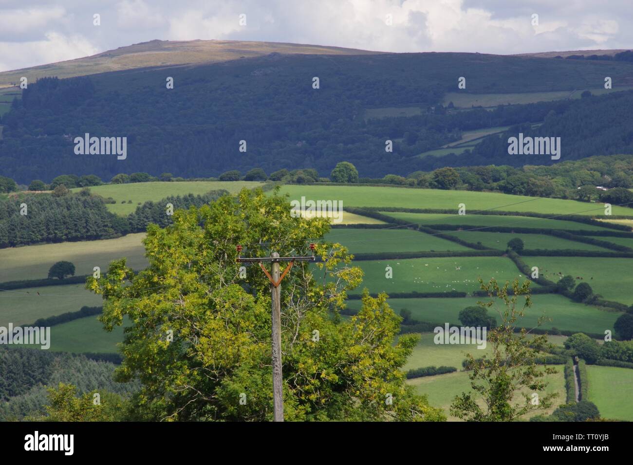 Pastoral Patchwork Landscape of Fields, Hedgerows and Woods in High ...