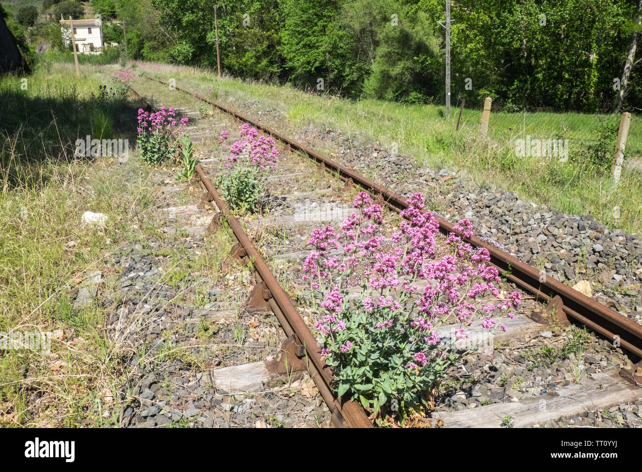 Disused train track hi-res stock photography and images - Alamy