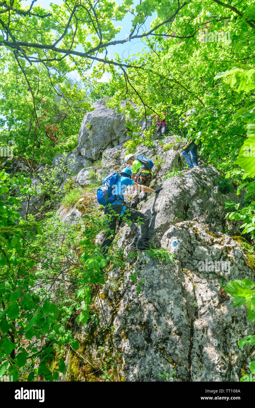 Hiking and climbing on a forestry and rocky trail with via ferrata ...