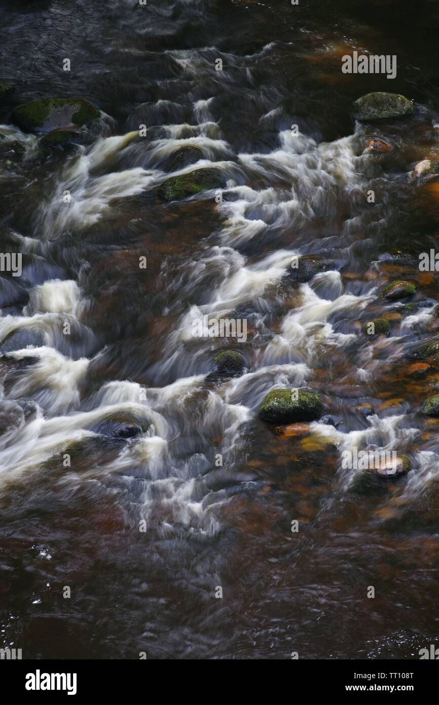 Looking Down on a Section of Rapids along the River Dart, Holne Woods ...