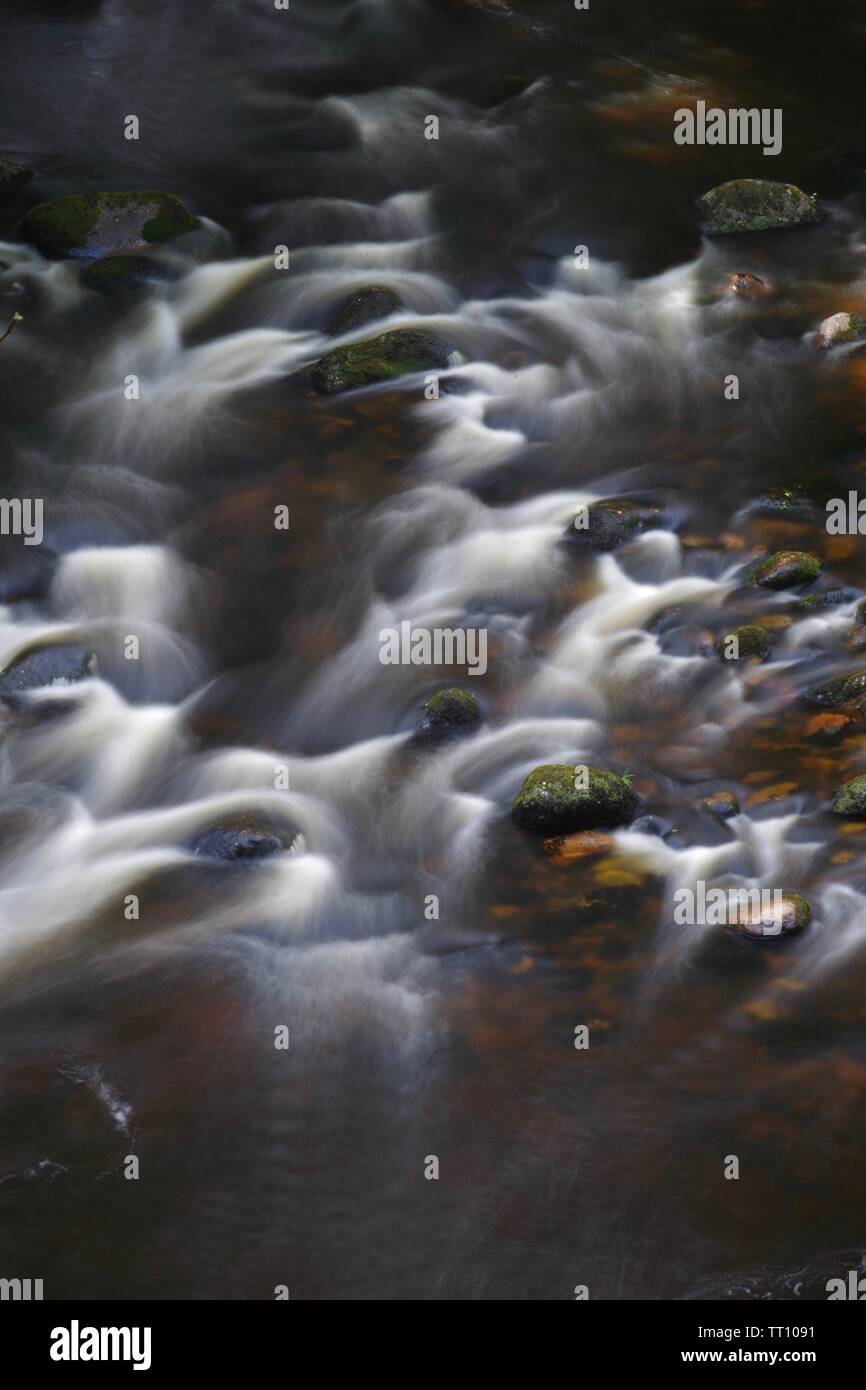 Looking Down on a Section of Rapids along the River Dart, Holne Woods ...