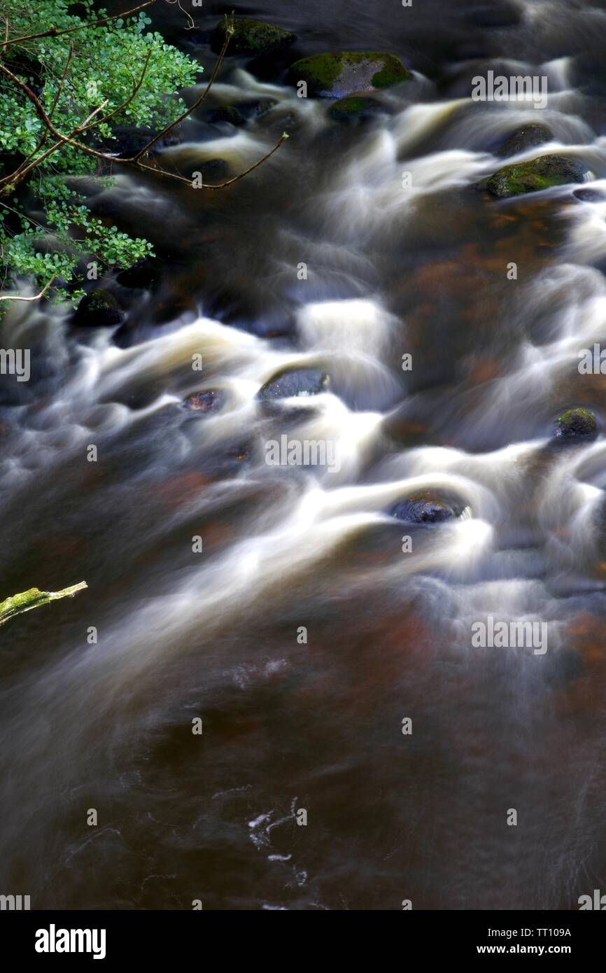 Looking Down on a Section of Rapids along the River Dart, Holne Woods ...