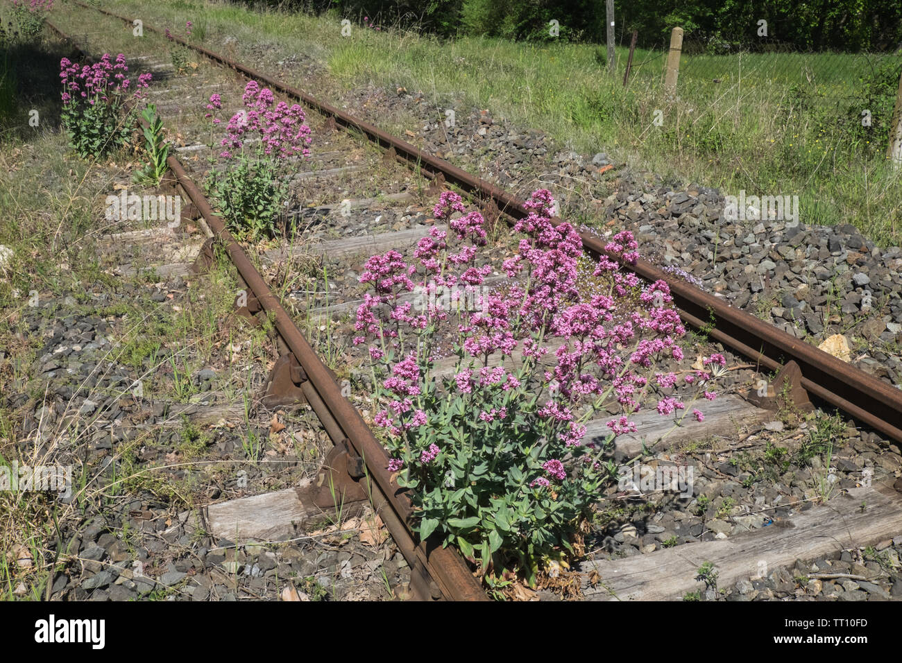 Disused train track hi-res stock photography and images - Alamy