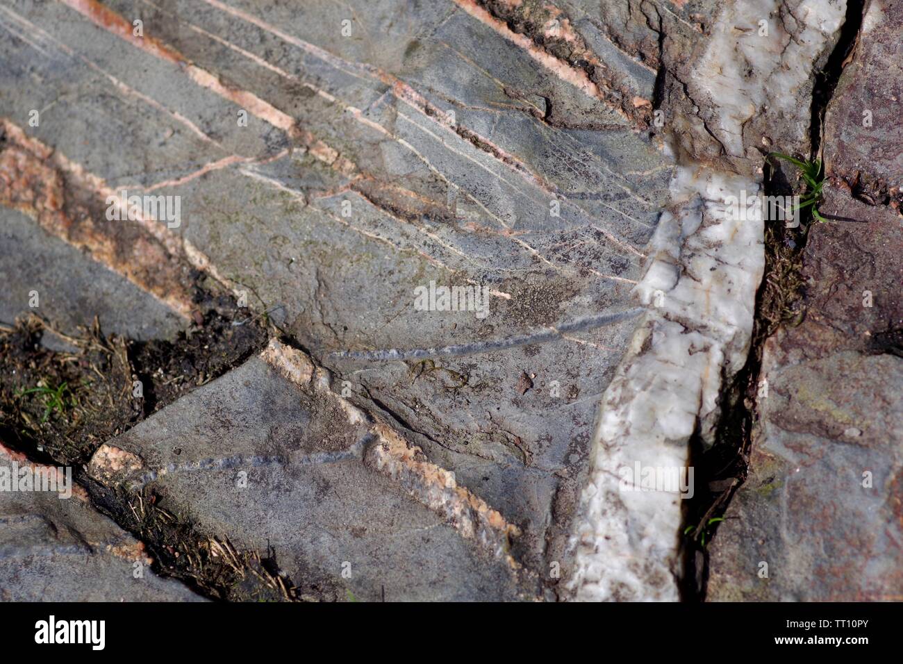 Natural Background of Carboniferous Shale Slate with Quartz Veins ...