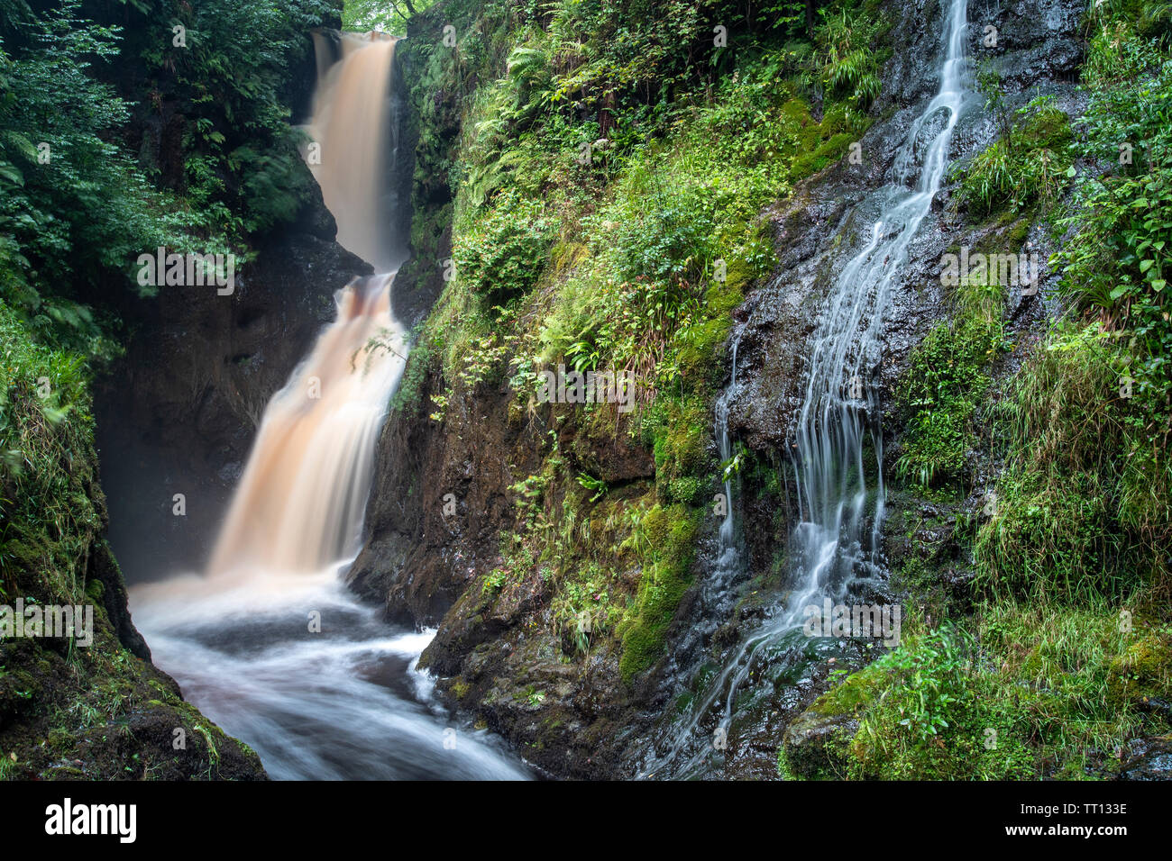 Waterfall in Glenariff Forest Park County Antrim, Northern Ireland ...