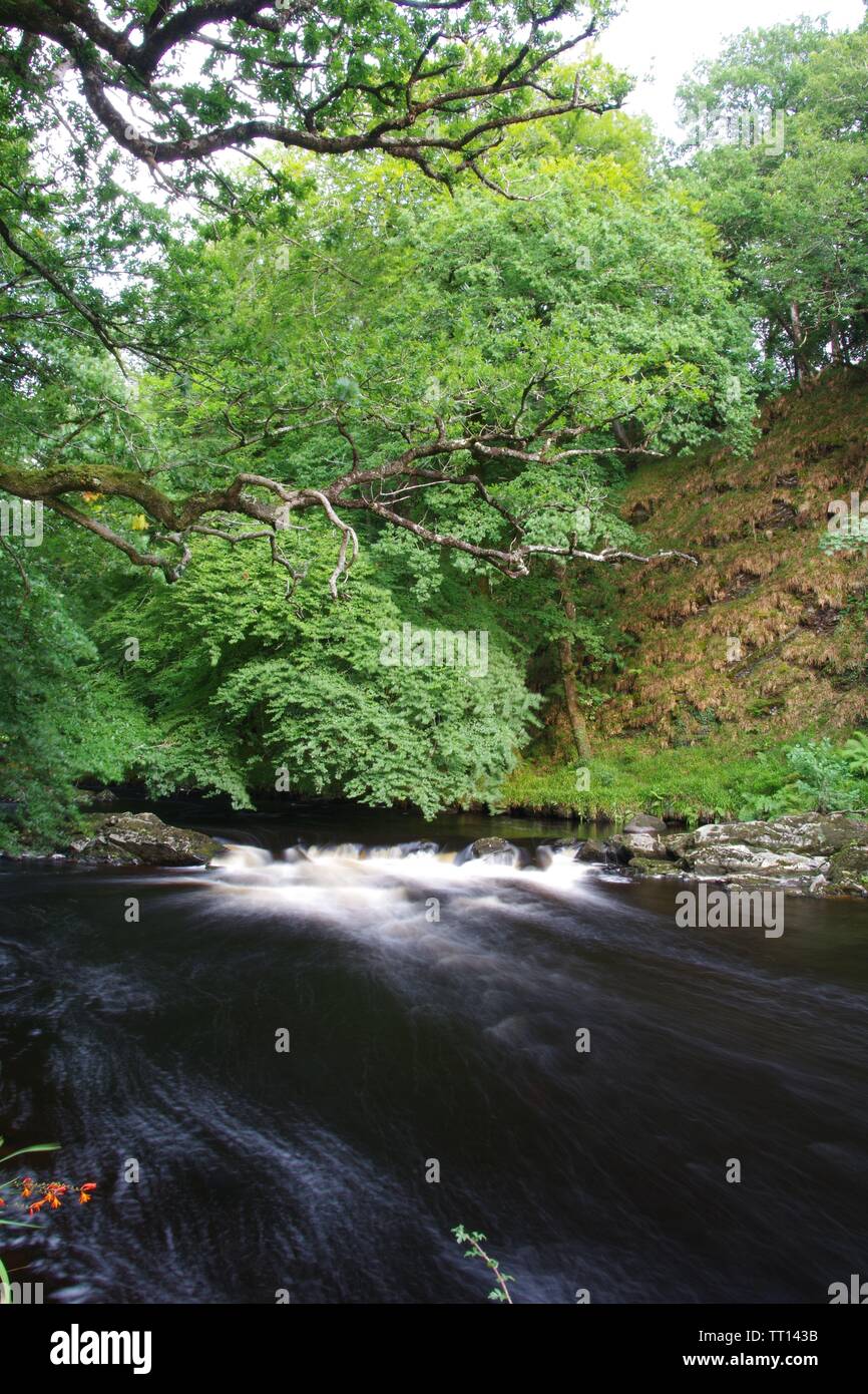 Rapids on the River Dart Flowing Through Hembury Woods on a Late ...