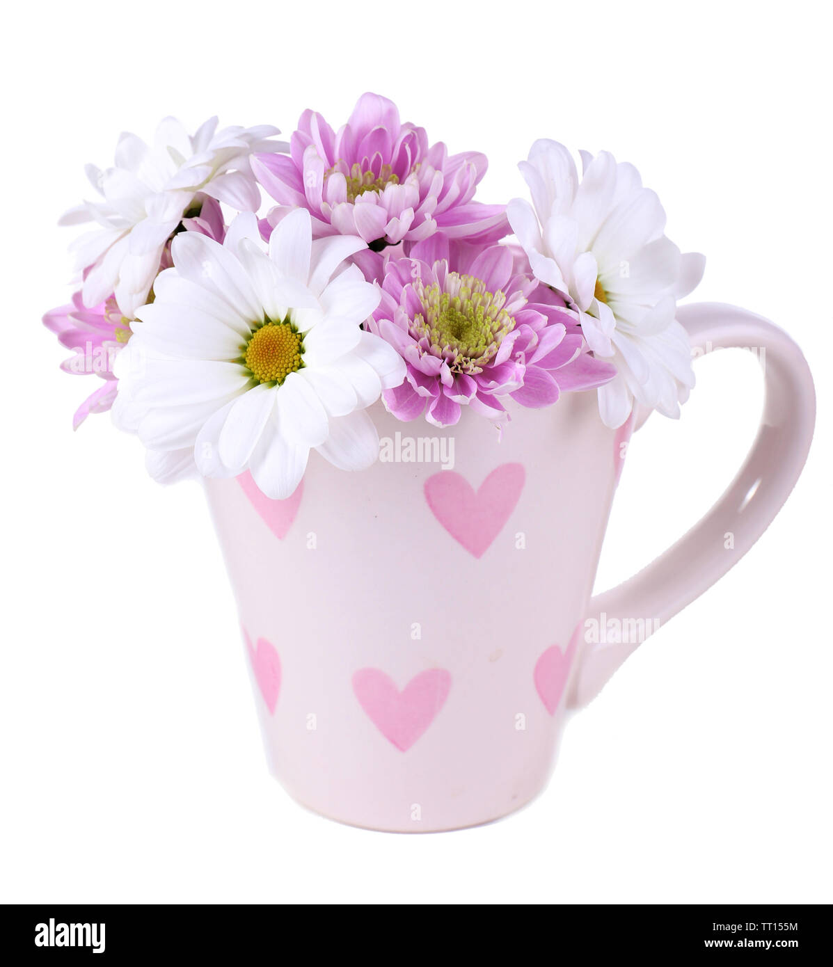 Beautiful chrysanthemum flowers in cup isolated on white Stock Photo ...