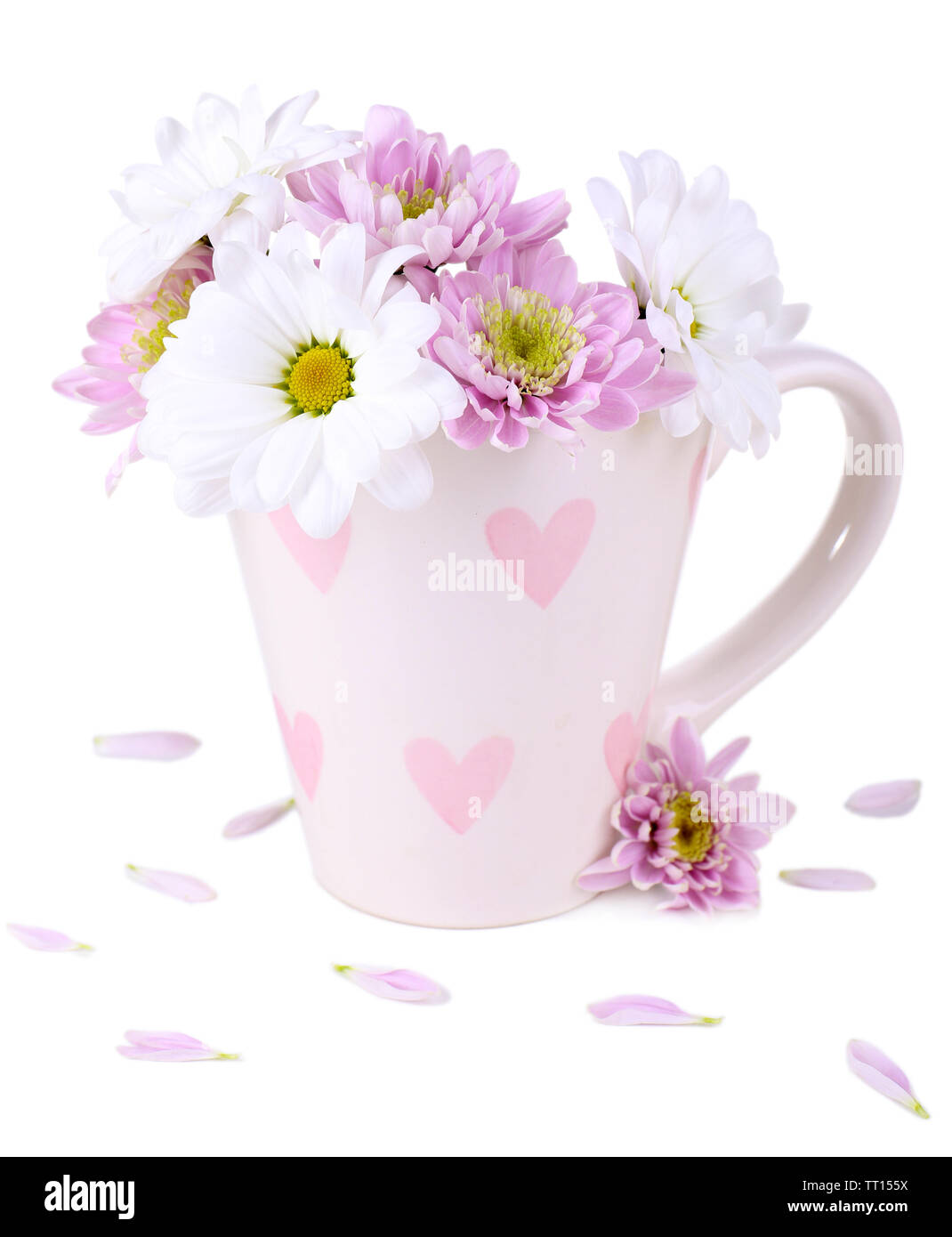 Beautiful chrysanthemum flowers in cup isolated on white Stock Photo ...