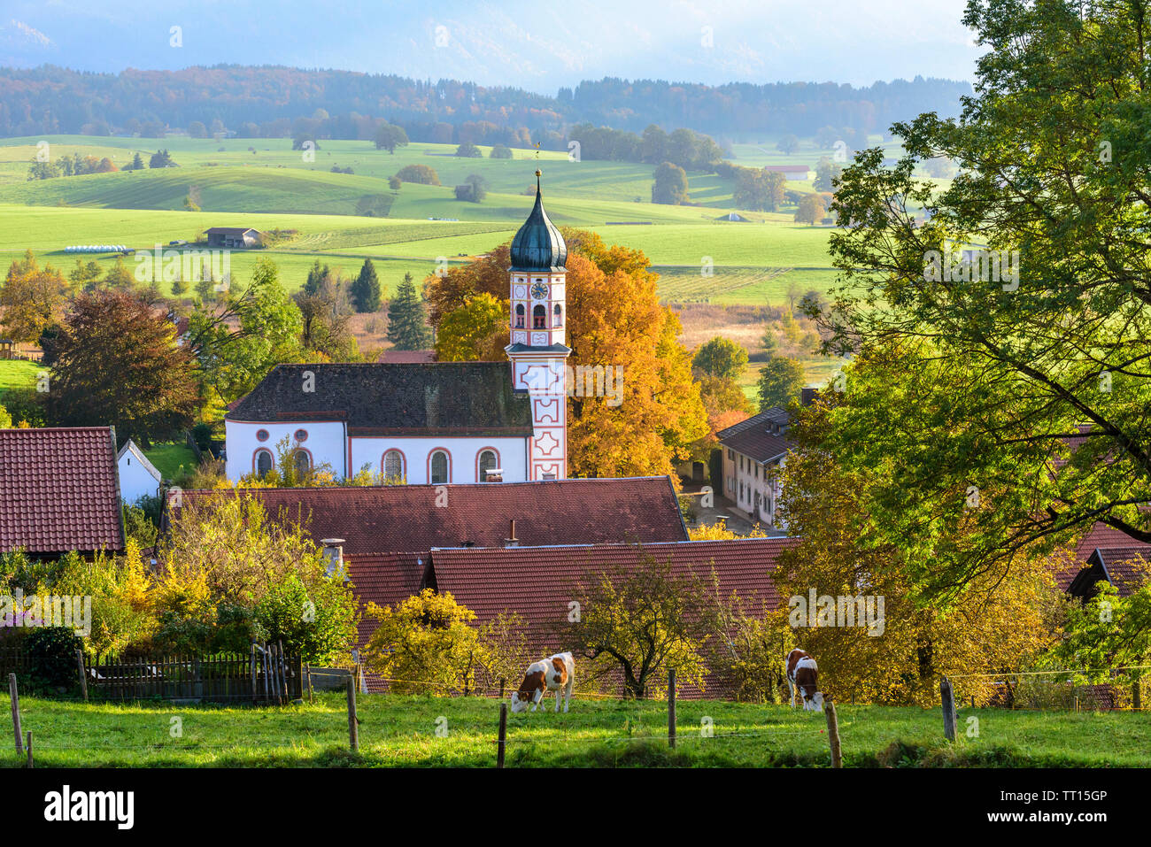 Typical traditional alpine buildings in hi-res stock photography and ...
