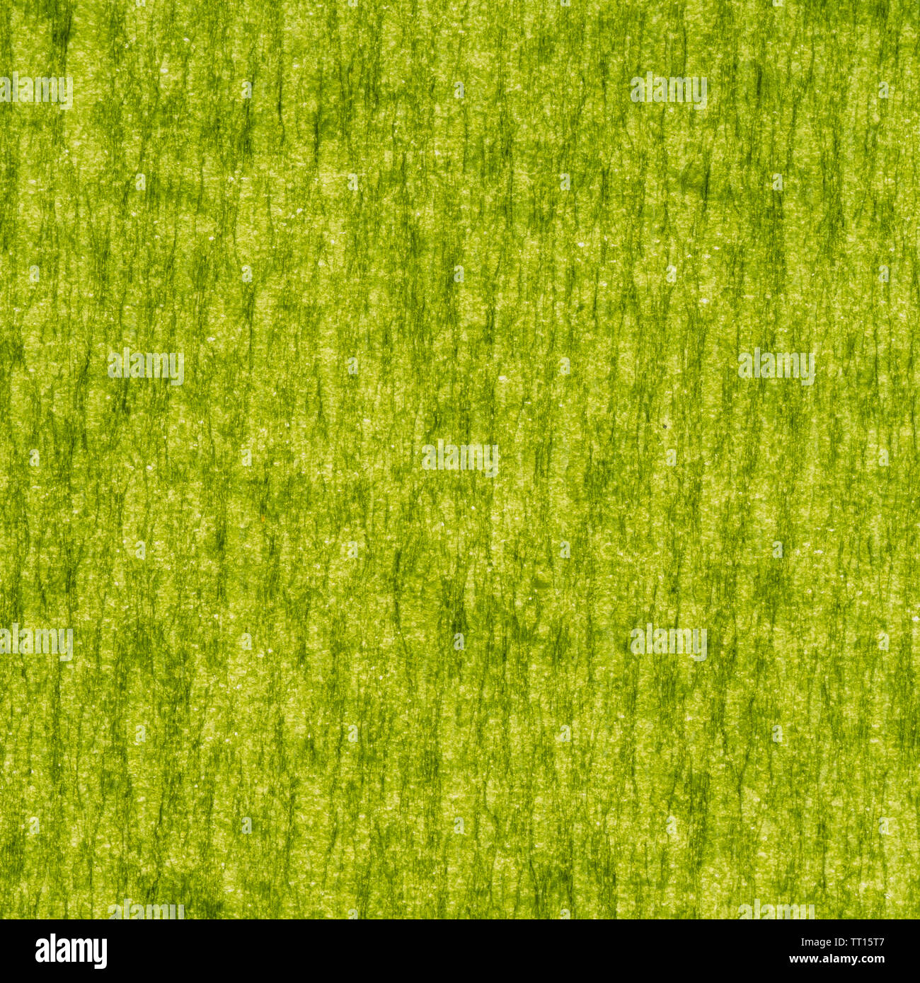 Chartreuse Yellow Color