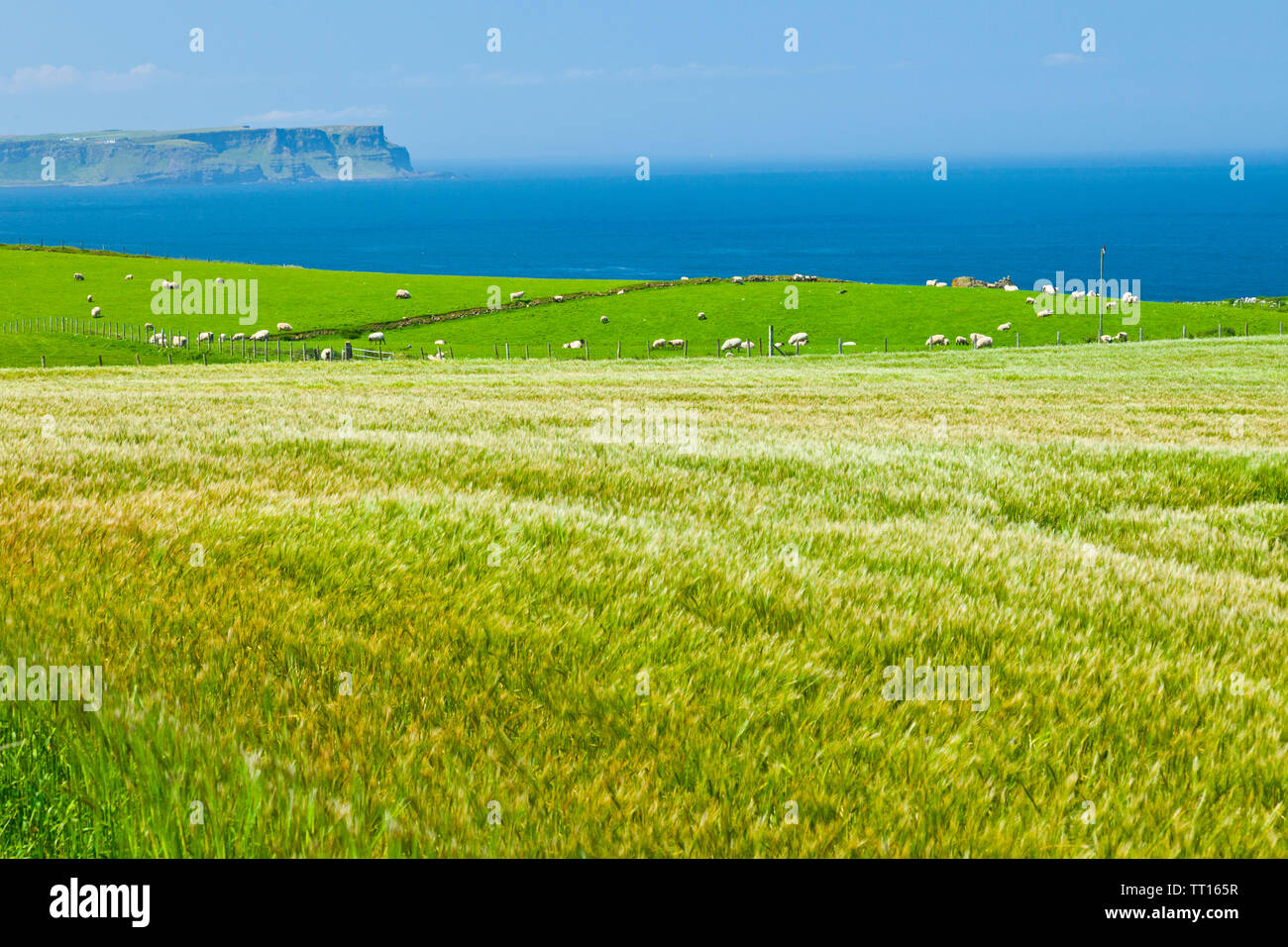 Causeway Coastal Route. Antrim County, Northern Ireland, Europe Stock ...