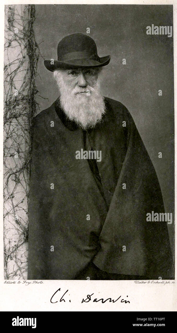 CHARLES DARWIN (18-9-1882) English naturalist about 1881 Stock Photo ...