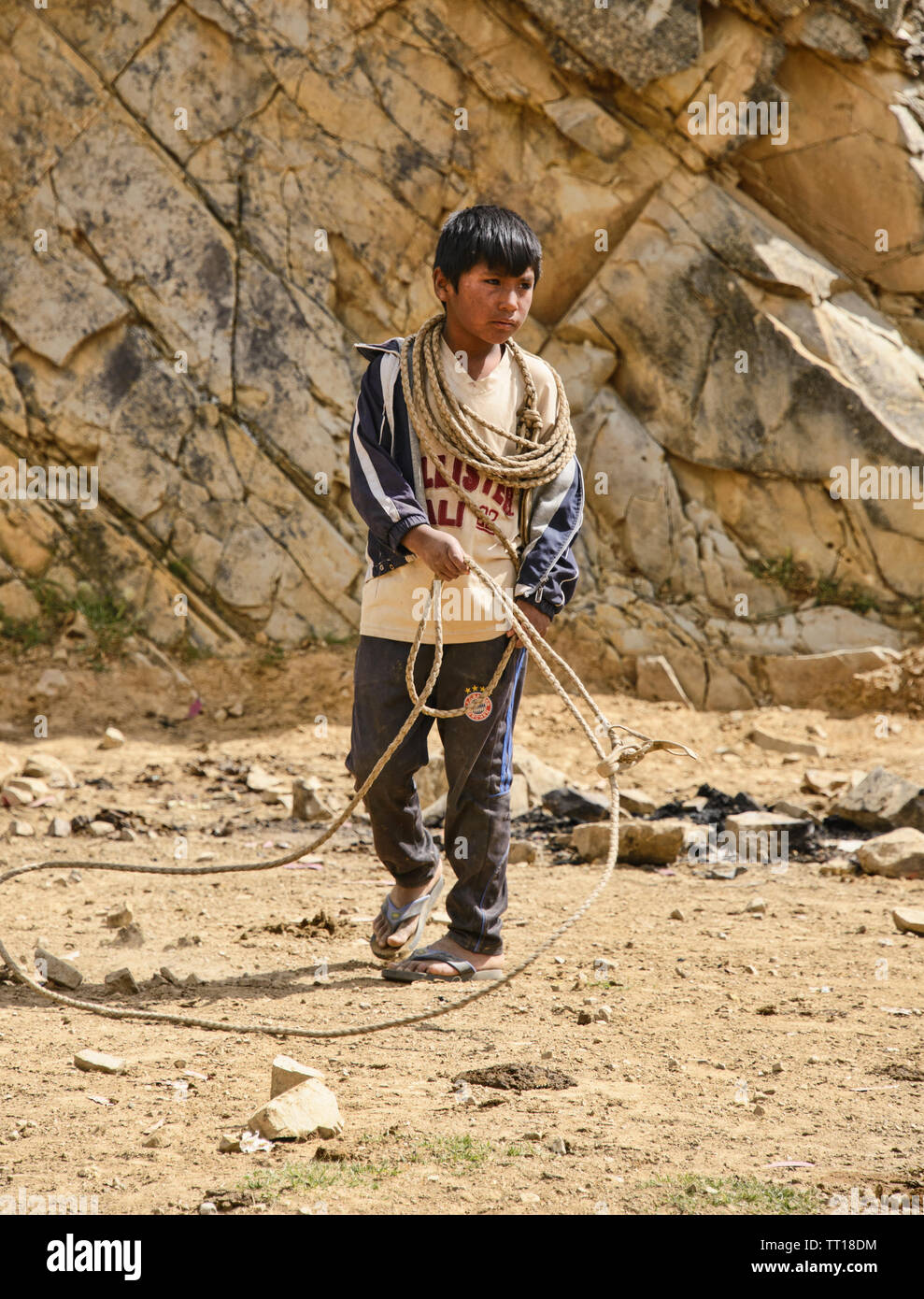 Lassoing hi-res stock photography and images - Alamy