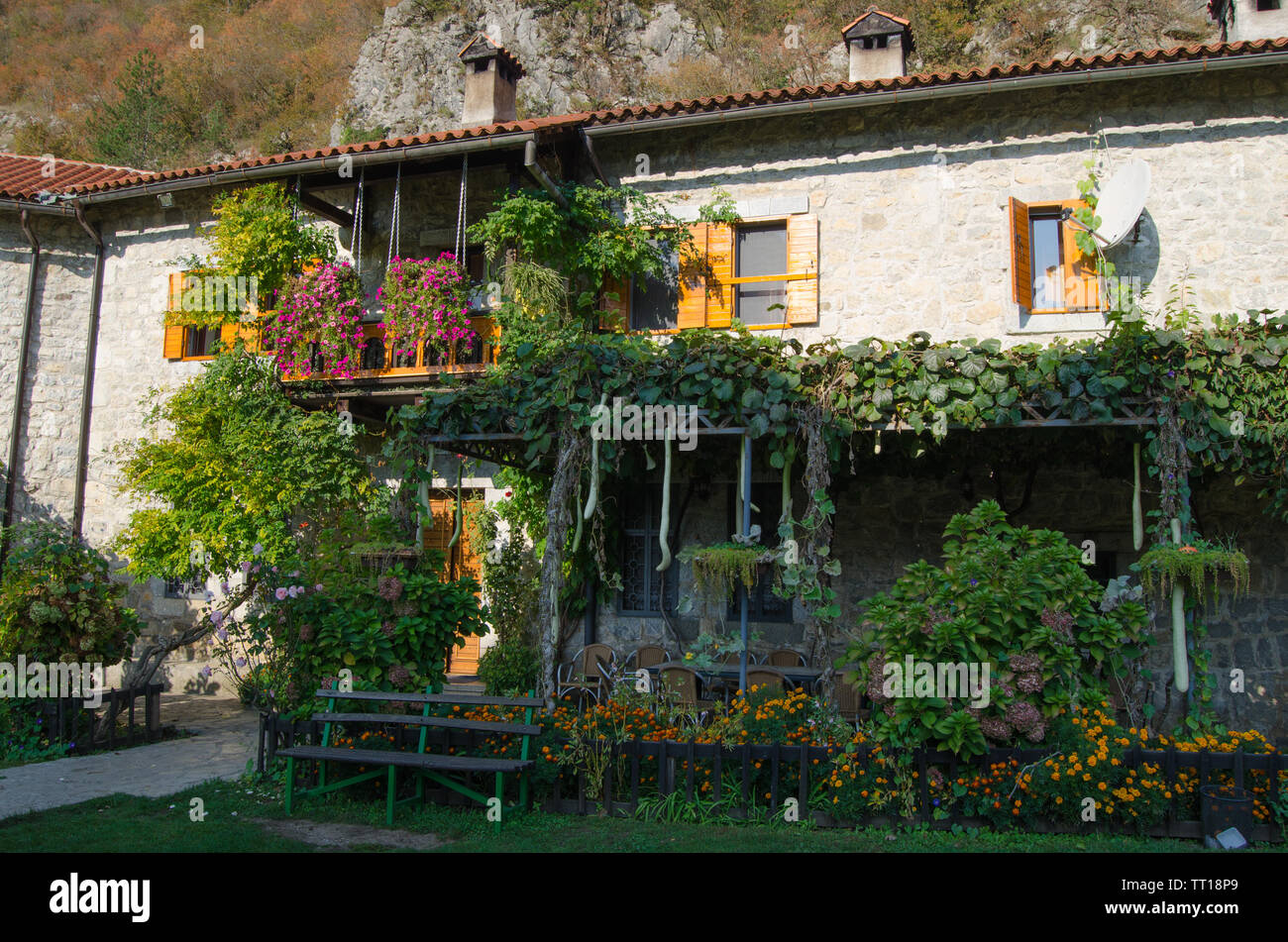 Decorated with flowers and greenery, facade and balcony of old ...