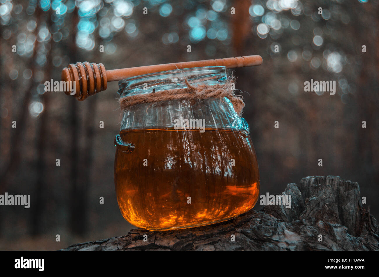 Jar of fresh honey and honey spoon on pine tree in woods.Healthy food ...