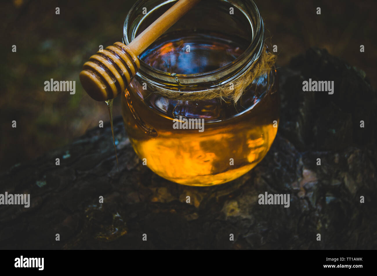 Jar of fresh honey and honey spoon on pine tree in woods.Healthy food ...