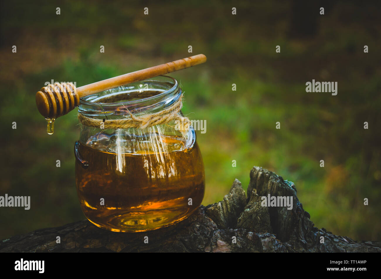 Jar of fresh honey and honey spoon on pine tree in woods.Healthy food ...