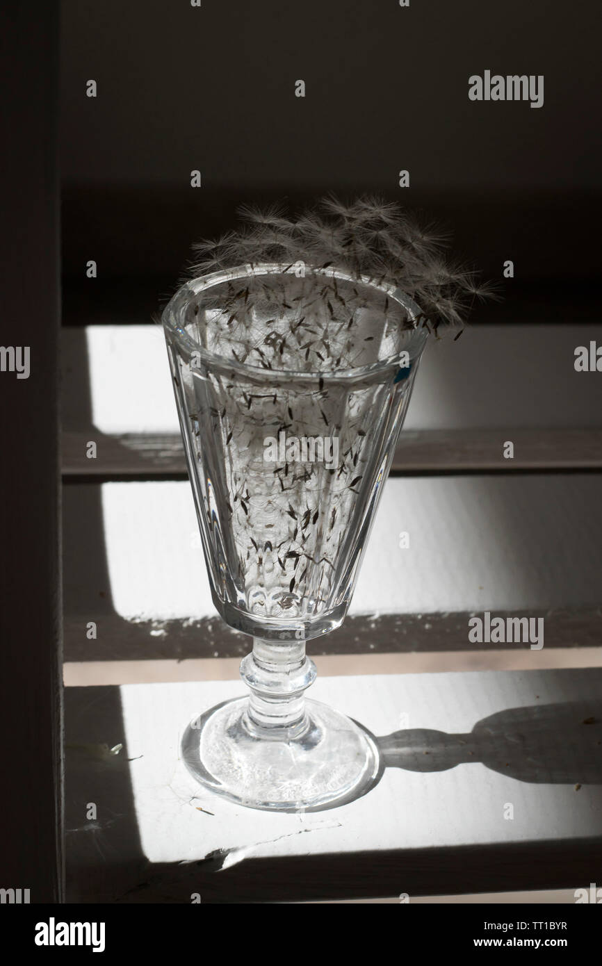 Glass fluff hi-res stock photography and images - Alamy