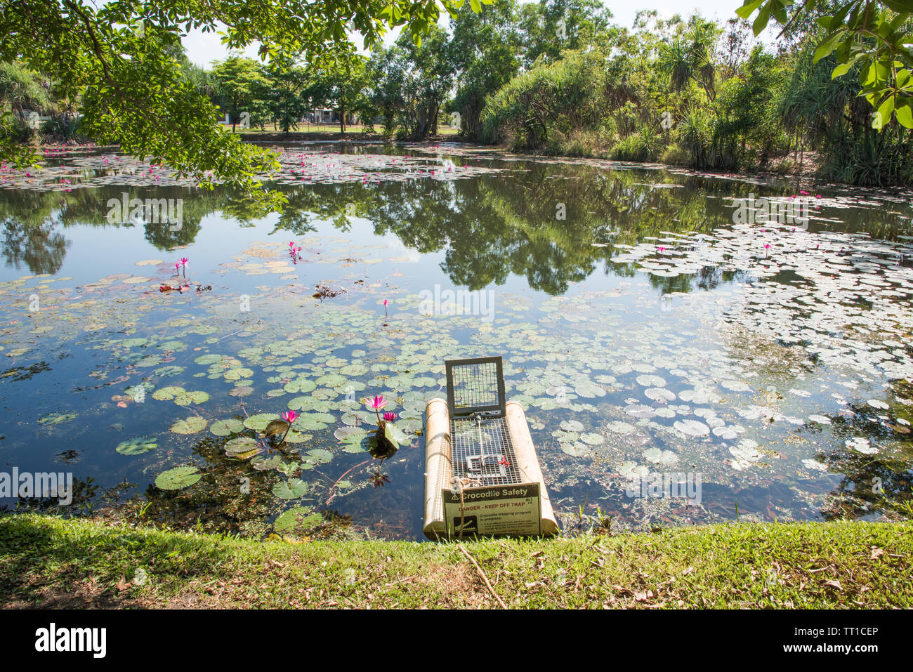 Darwin, NT, Australia-September 14,2018: Saltwater crocodile trap with ...