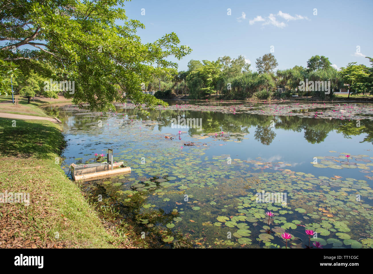 Darwin, NT, Australia-September 14,2018: Saltwater crocodile trap with ...