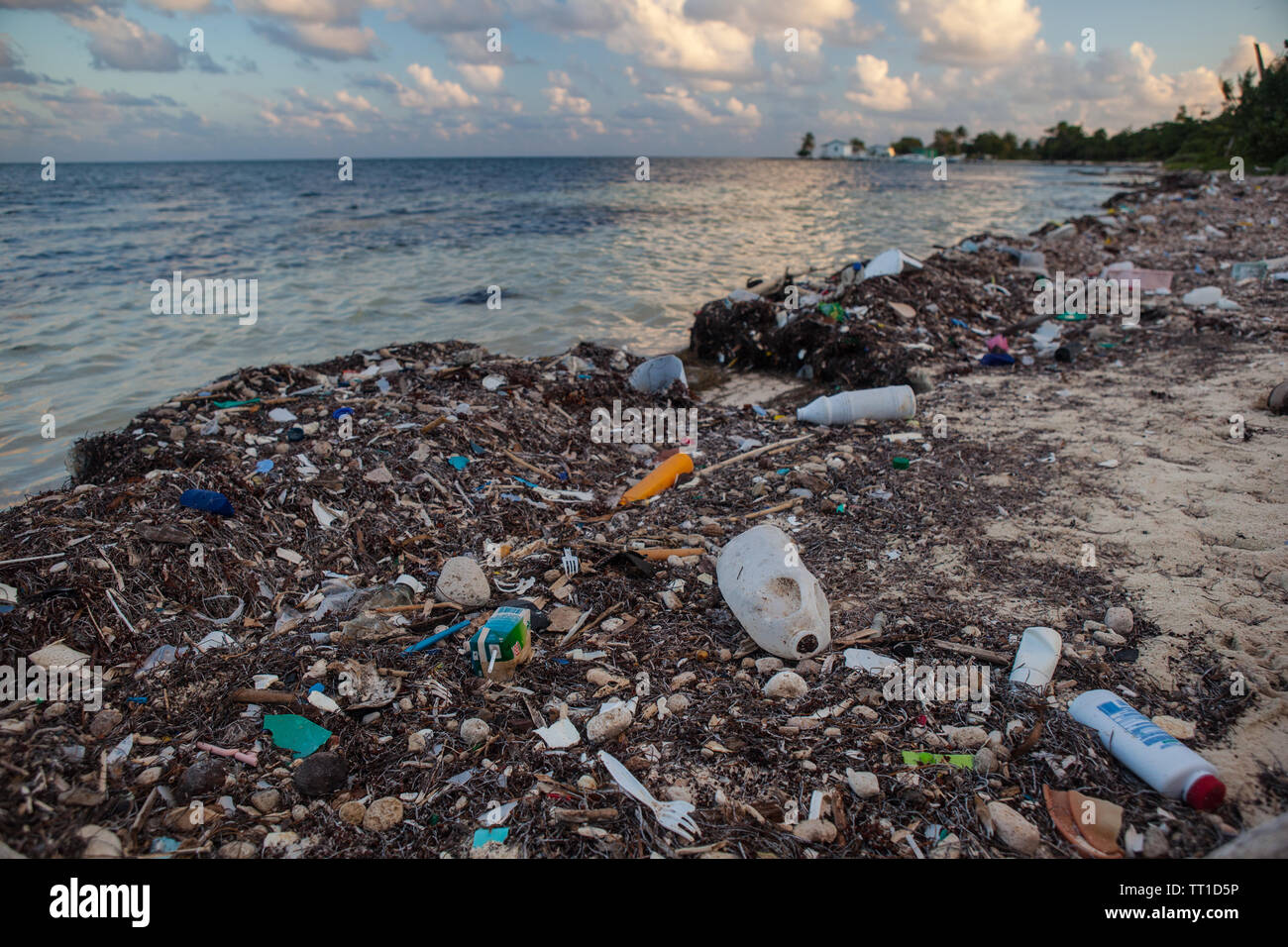 Plastic garbage has washed up on a remote beach in the Caribbean Sea ...