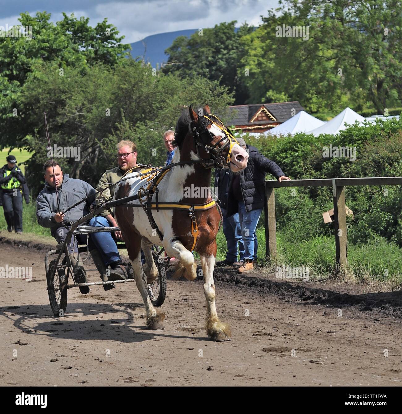 Appleby Horse Fair 2019 Stock Photo - Alamy