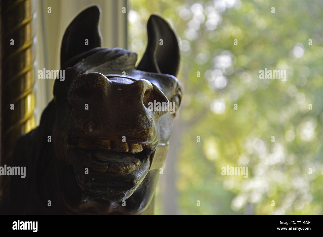 Close up of a carousel horse head Stock Photo - Alamy